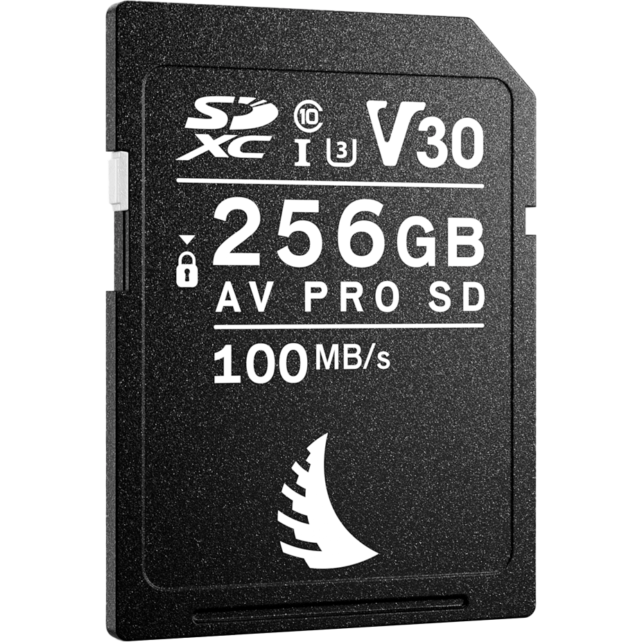 Angelbird Av pro SD V30 256GB